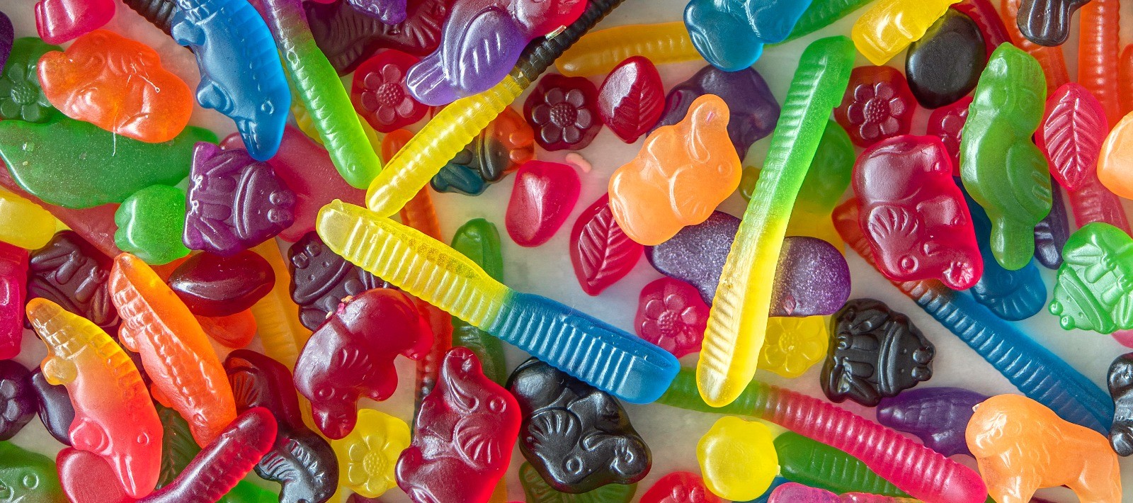 GNT to showcase organic Coloring Foods at Sana Bologna - EXBERRY®