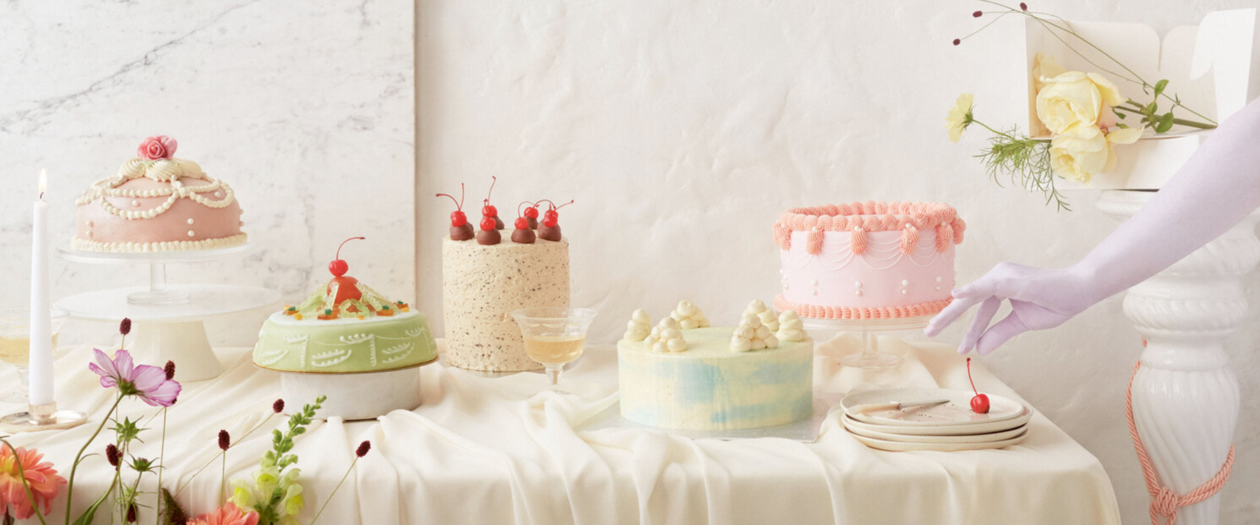 The founder on colorful cakes, naturality and disruptive color trend