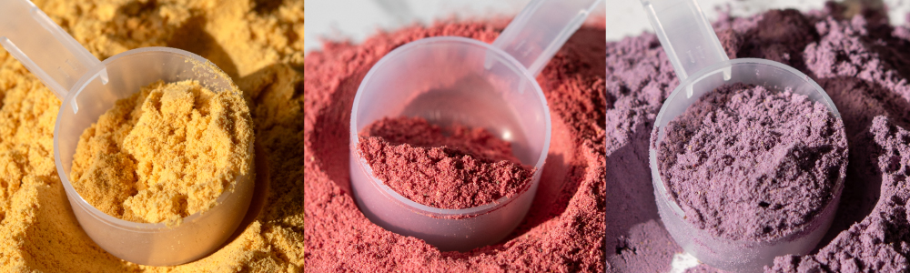 Reimagining Protein Powders with Savory Flavors - EXBERRY®
